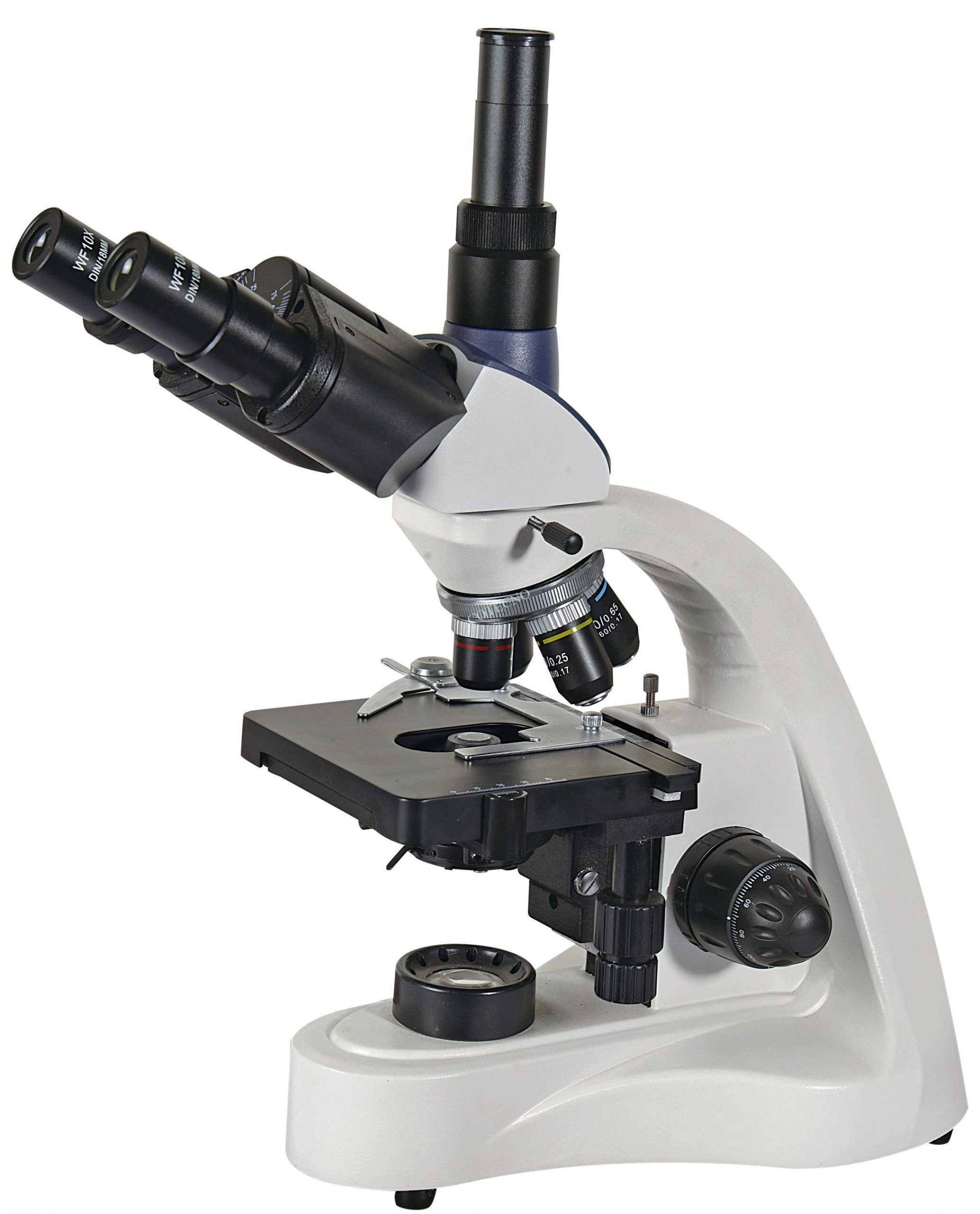 Microscopio BellO-MicBio-RE » COTECNO | Equipamiento Científico ...