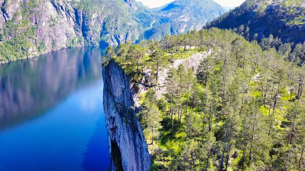 Fjord og Fjell | Dfly