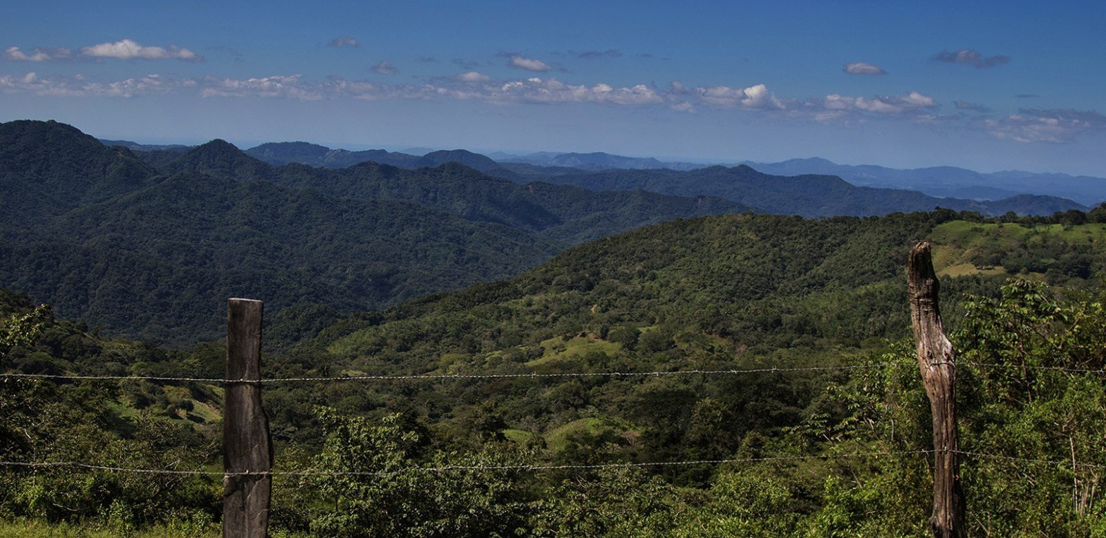 Diriá National Park Wants to Attract More Visitors