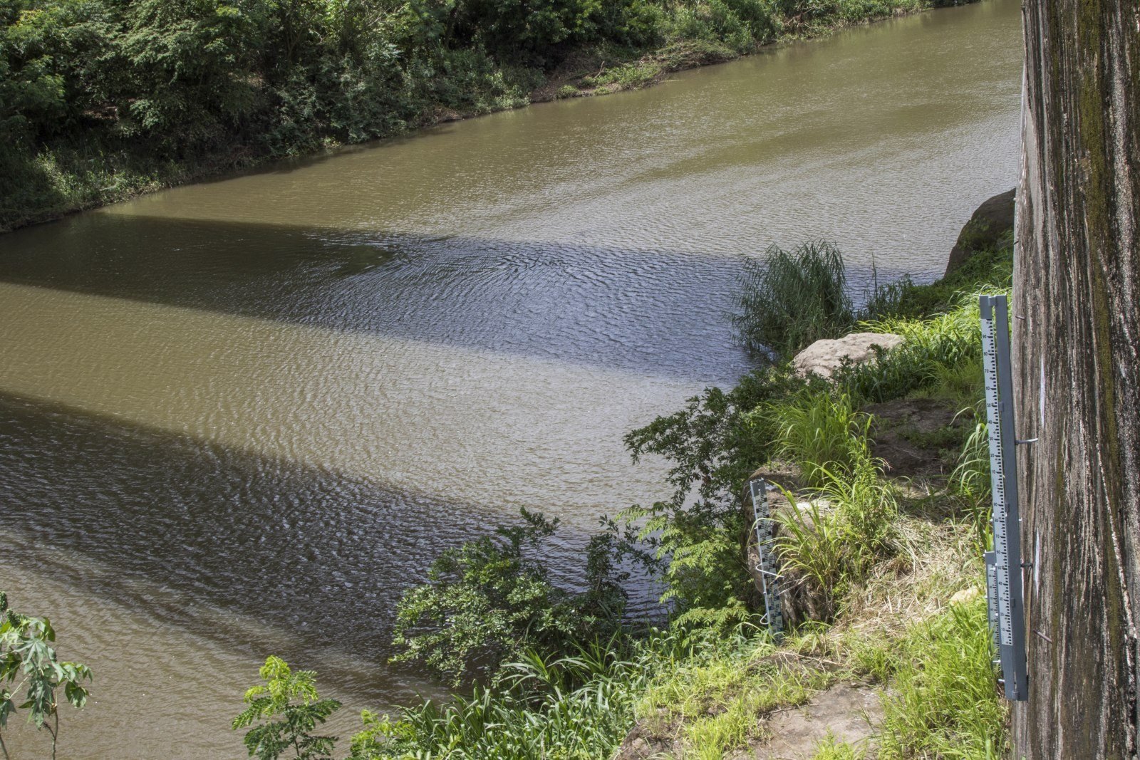 Río Tempisque, medio siglo de concesiones (casi) a ciegas
