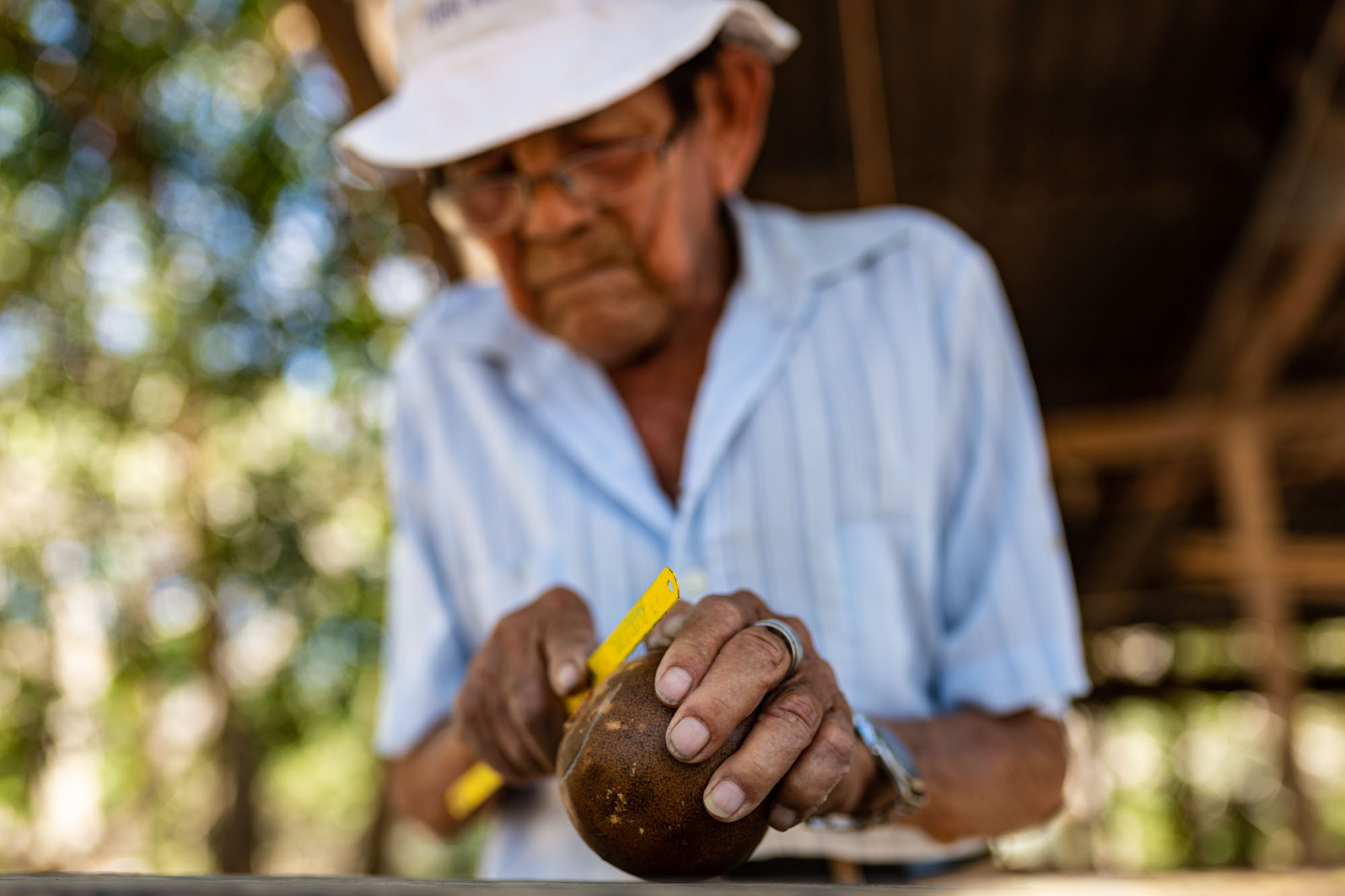Quijonguero y longevo: así se preserva un sonido milenario